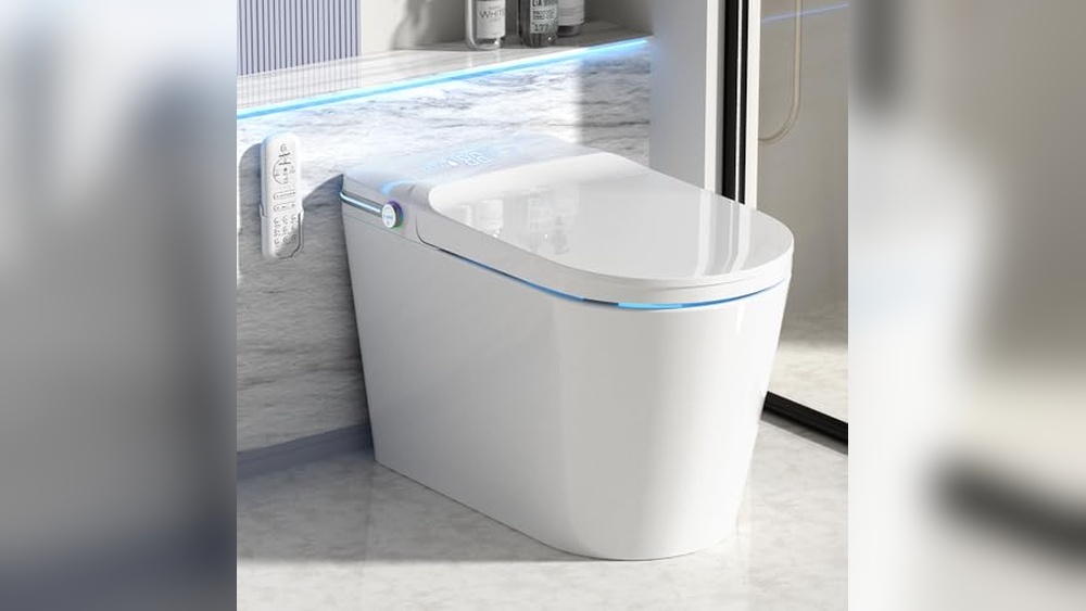Best Loupusuo Luxury Smart Toilet Reviews