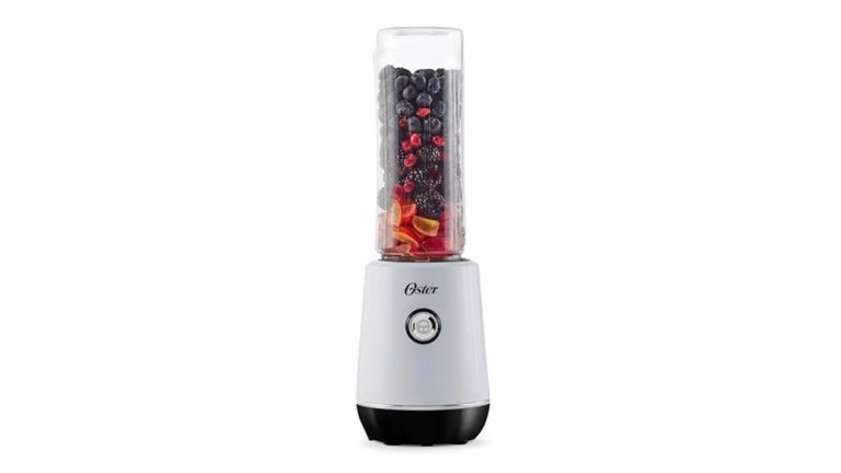 Best Oster Blender for Smoothies